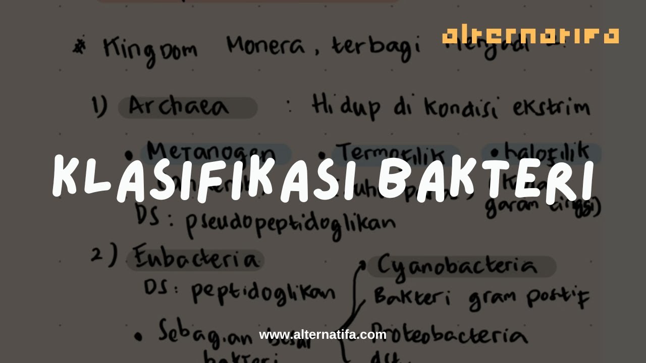 Kingdom Monera: Klasifikasi Bakteri | Biologi | Alternatifa - YouTube