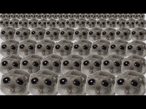 Sad hamster x1000000