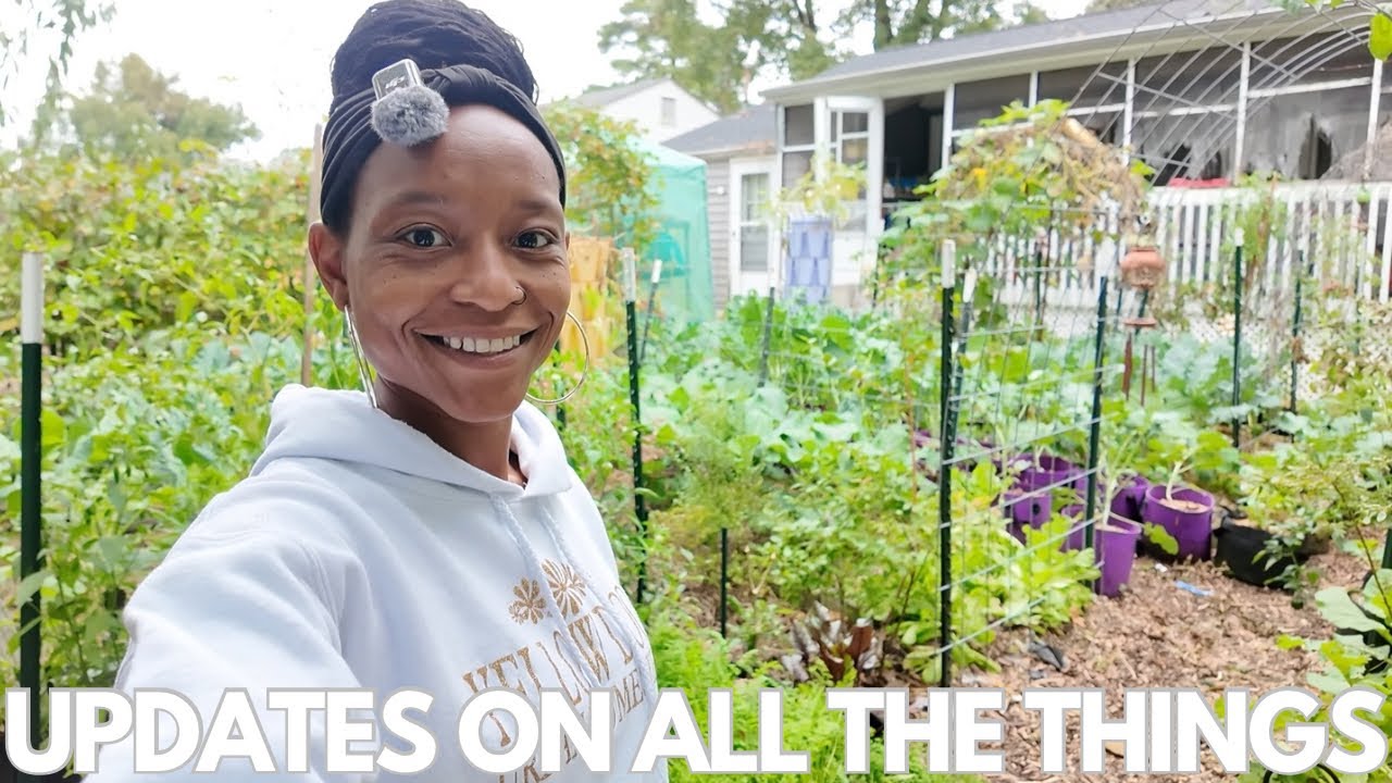Chatty Garden Walk | Current Updates & Future Plans | Chicken Update ...