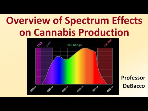 Overview of Spectrum Effects on Cannabis Production