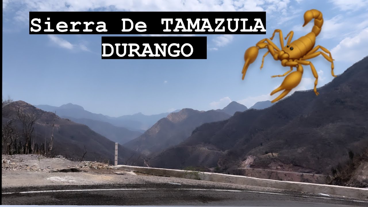 Sierra De Tamazula Durango 4K - YouTube