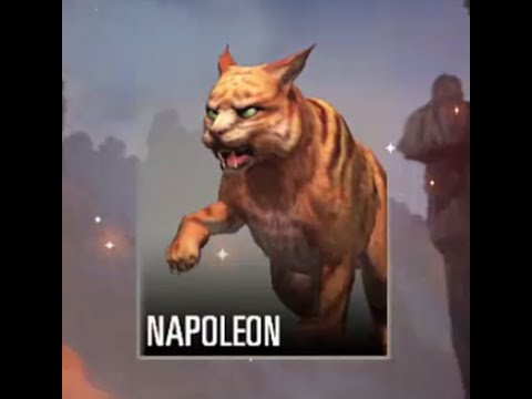 DEER HUNTER 2016 : Walkthrough Gameplay #28 THE NAPOLEON in THE DAKOTA ...