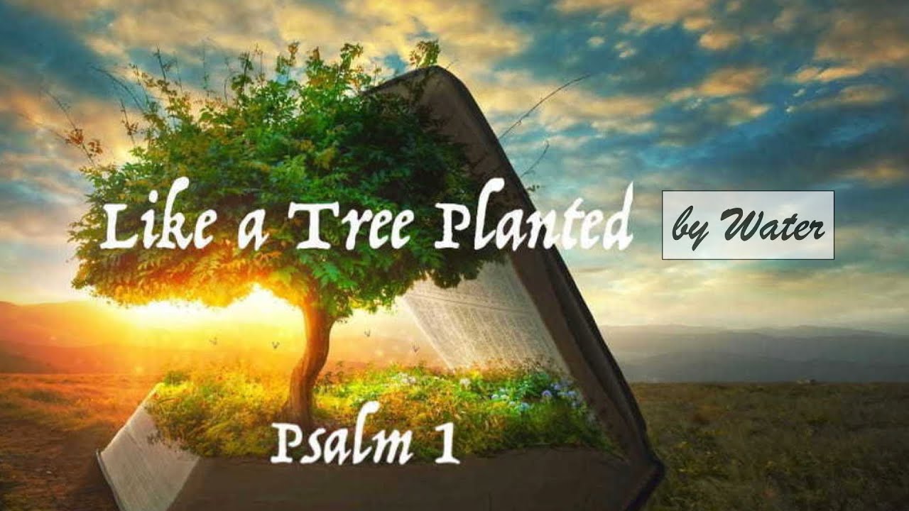 Sermon_PSALMS #1. “Like A Tree Planted By Water”_2023 08 06 - YouTube