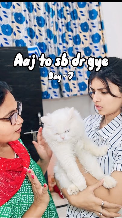 Aaj sb dr gye 😰 #minivlog #vlog #shorts #dailyvlog #cat - YouTube