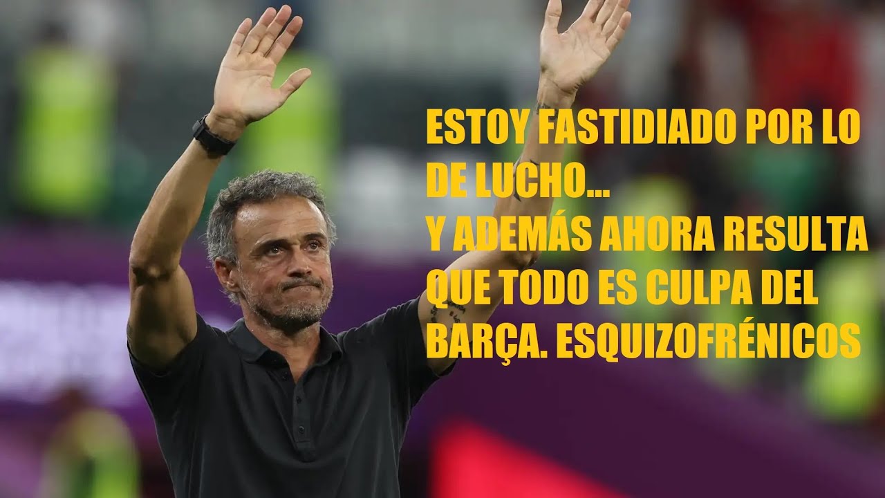ESTOY FASTIDIADO POR LO DE LUCHO,Y ADEMÁS AHORA RESULTA QUE TODO ES ...
