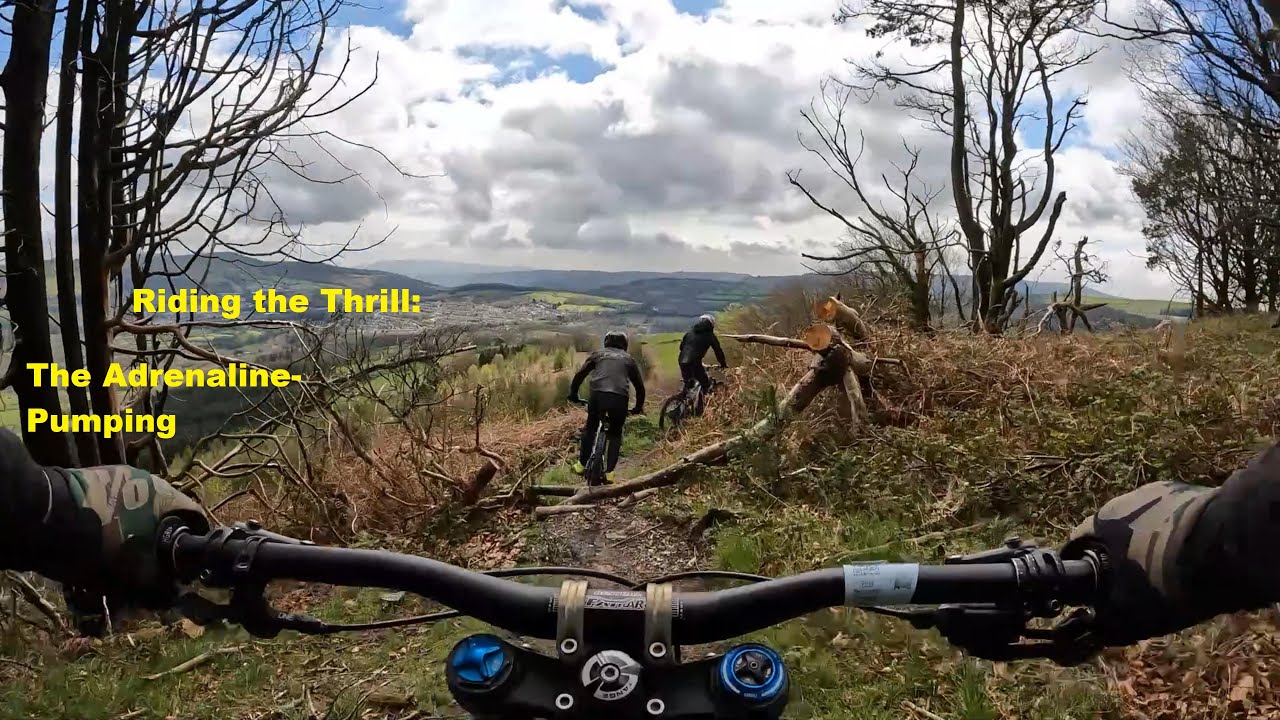 "Riding the Thrill: The Adrenaline-Pumping Experience of Extreme ...