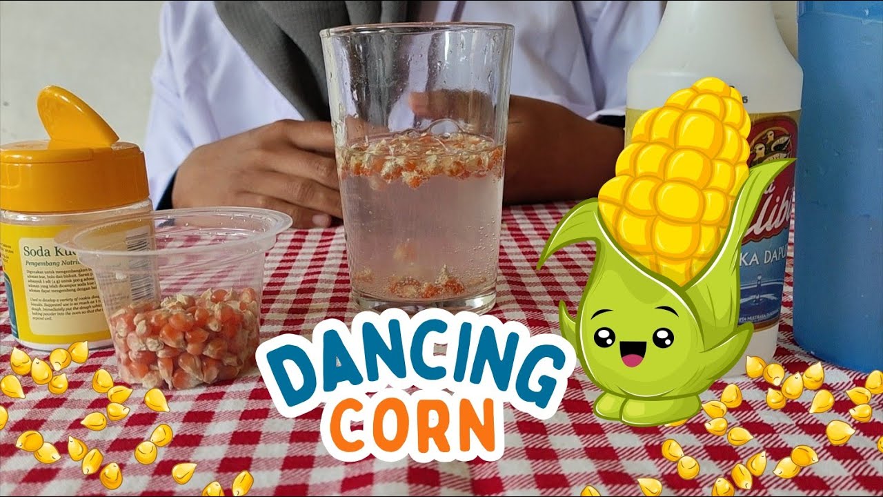 Eksperimen Sains "Dancing Corn🌽" - YouTube