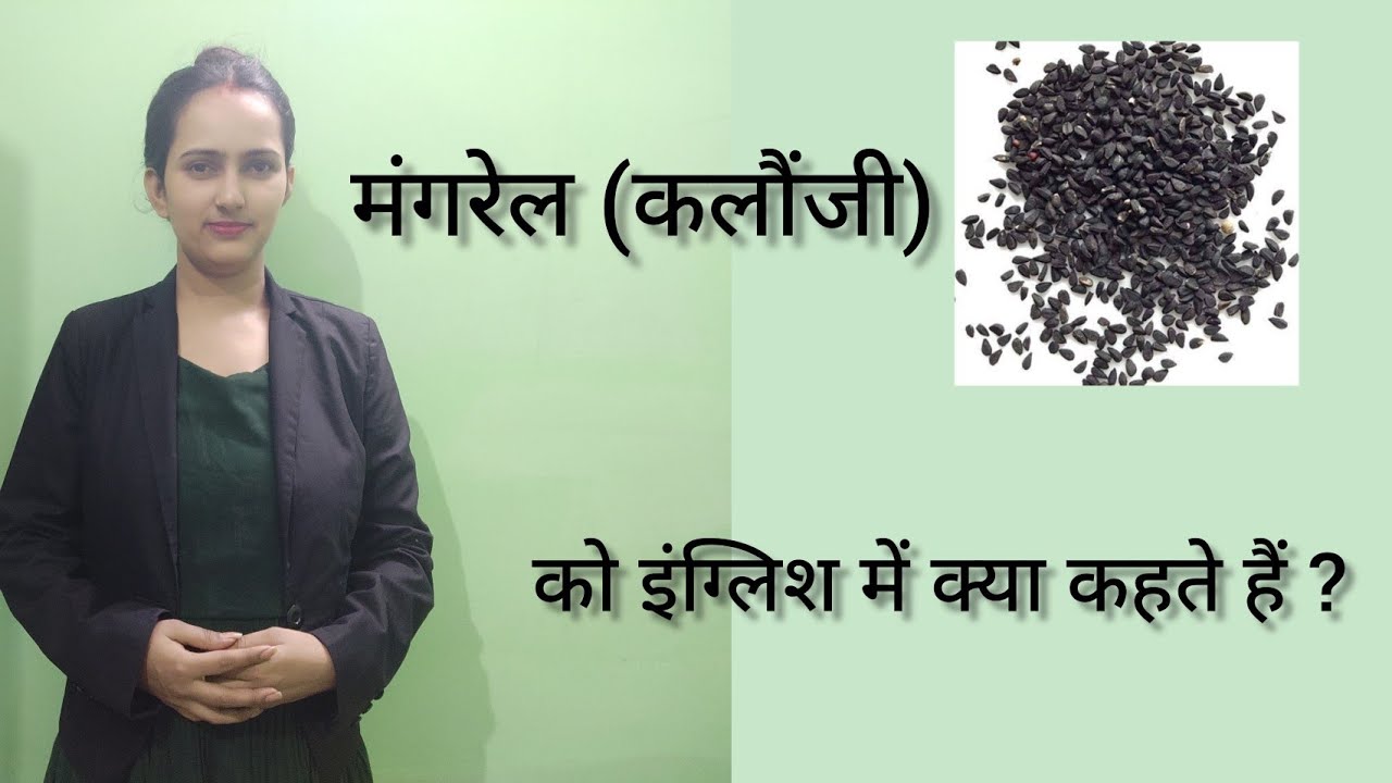 मंगरेल (कलौंजी) को इंग्लिश में क्या कहते हैं ll mangrail (kalaunji) ko ...