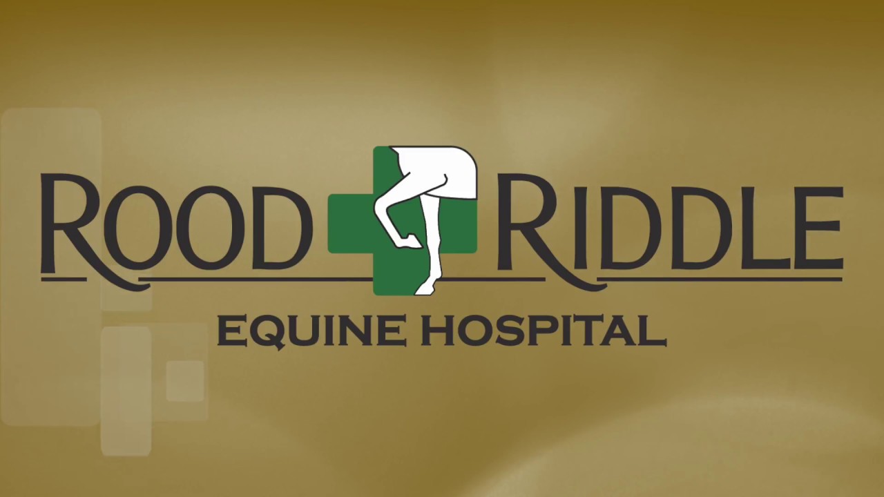 Rood & Riddle Interns - YouTube