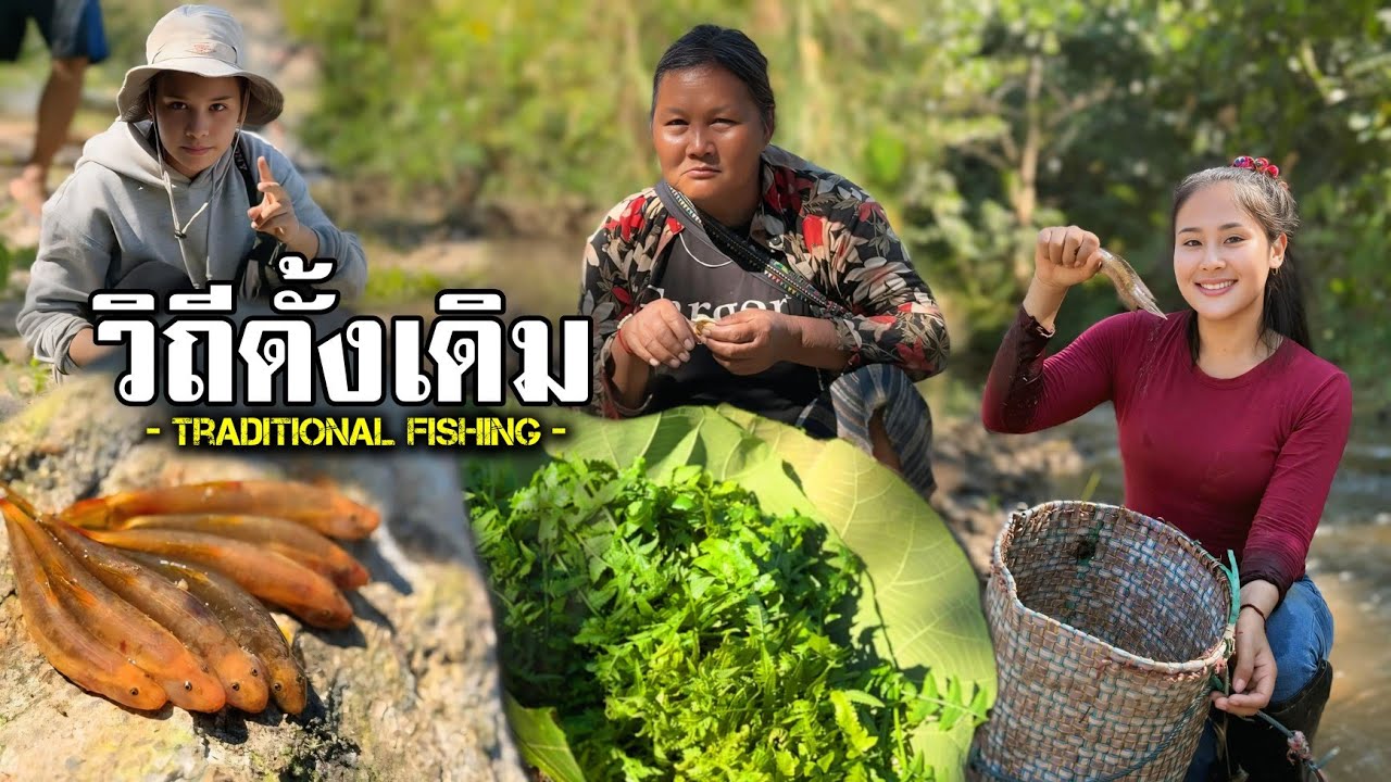 วิถีชีวิตคนดอย ep.806 กว่าจะได้จับปลาไม่ง่ายเลยเหนื่อยสุดๆ - YouTube