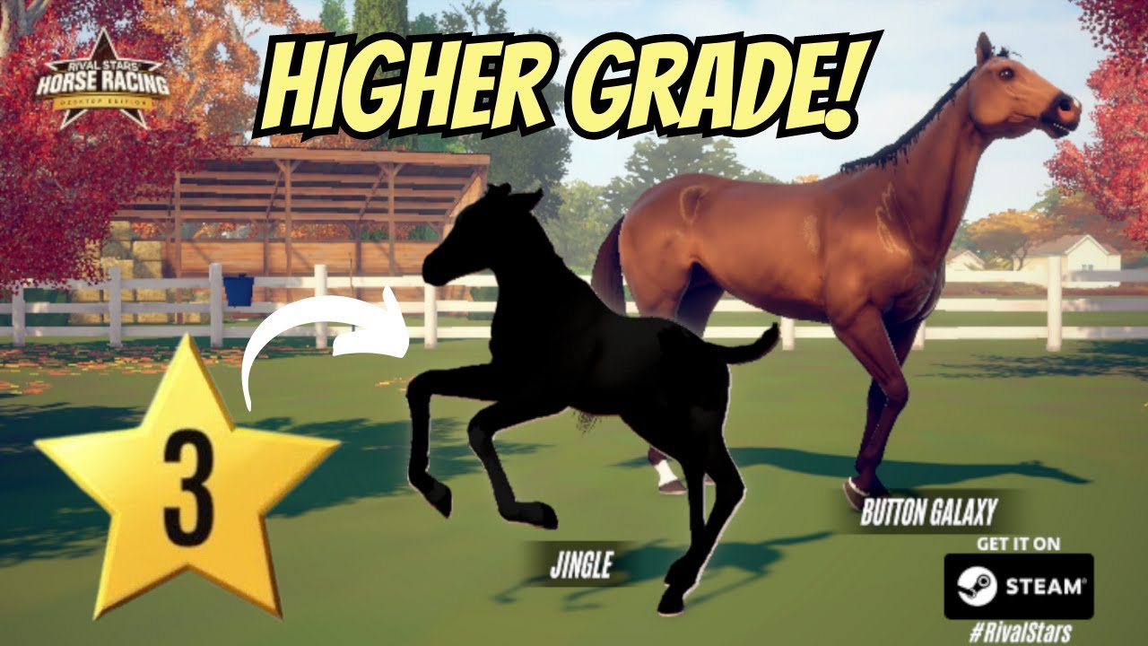 level-3-to-level-5-breeding-a-better-foal-rival-stars-horse-racing