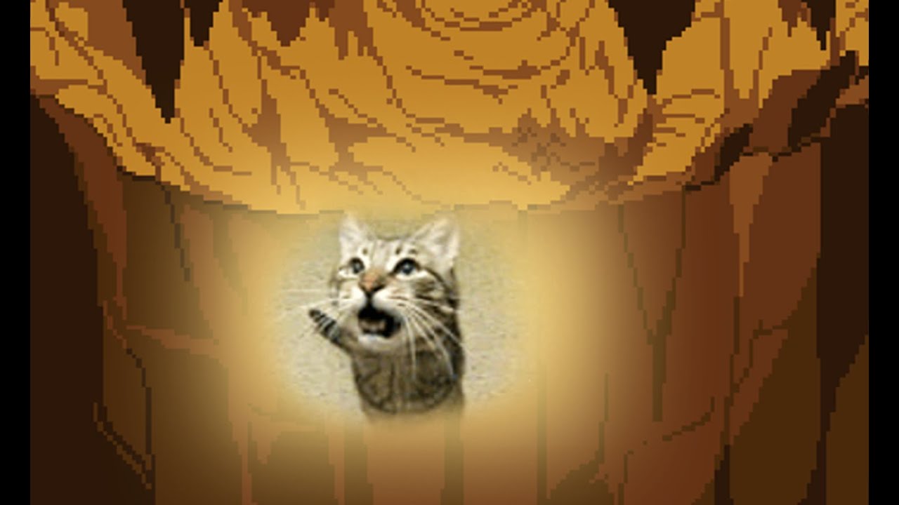 Undertale - Fallen Down (Reprise) - Cat Cover - YouTube