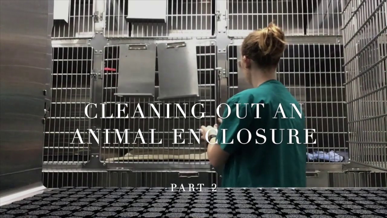 Cleaning out an Animal enclosure Part 2/3 - YouTube
