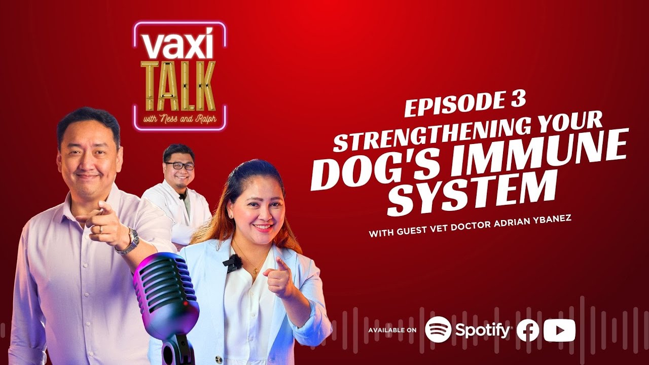 Strengthening Your Dog's Immune System - YouTube