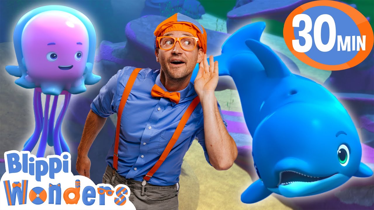 Blipppi's Dolphin Adventure! | Blippi & Blippi Wonders Educational ...