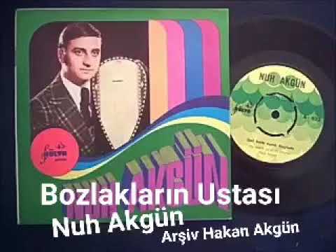 Nuh Akgün Sevdim alamadım bozlak