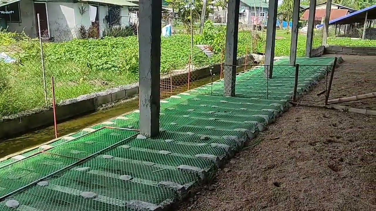 Kulungan ng itik Update | Bakit hindi ako nakapagsampa ng itik??? - YouTube