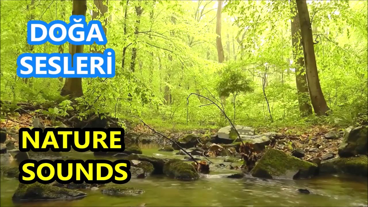 Huzurlu Doğa Sesleri-Dinlendirici Doğa Sesleri | Relaxing Sounds of ...