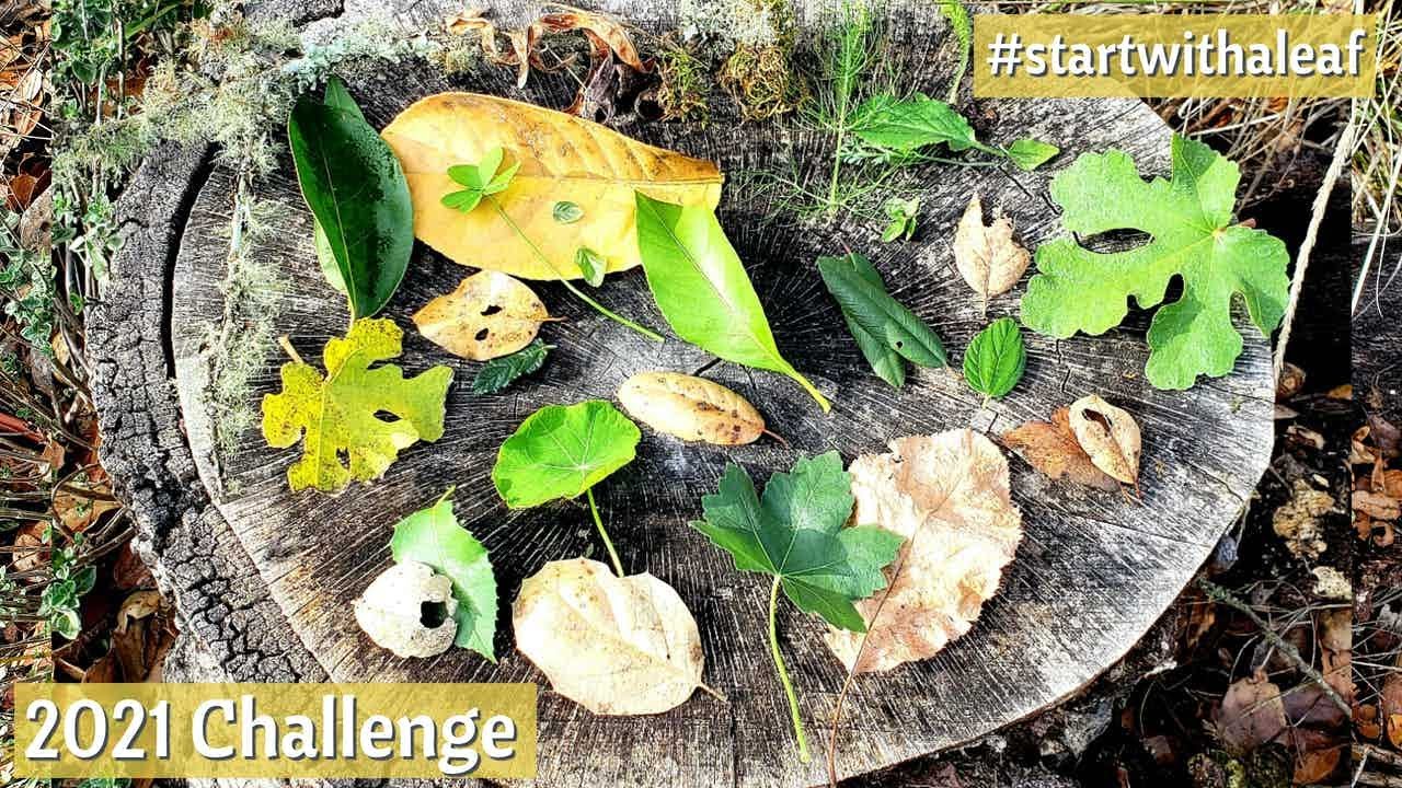 My Nature Art Challenge for 2021 | #startwithaleaf - YouTube
