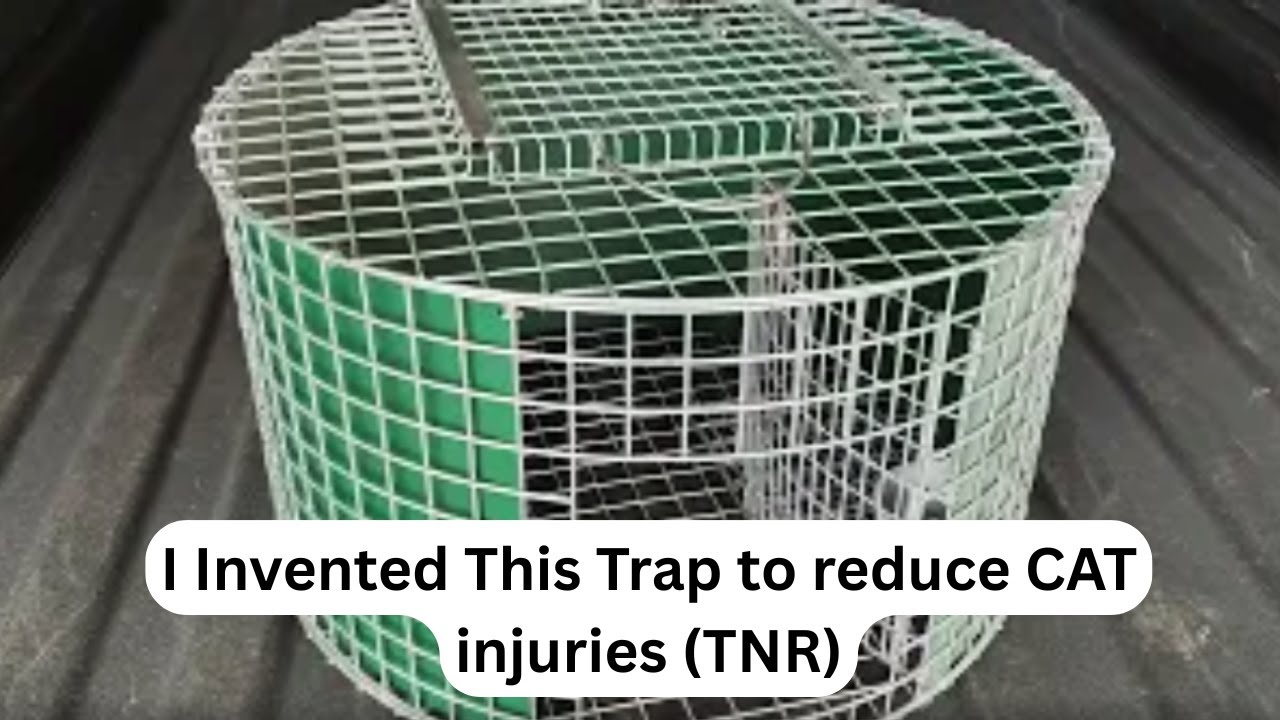 I invented a humane trap to stop cats from being injured... - YouTube