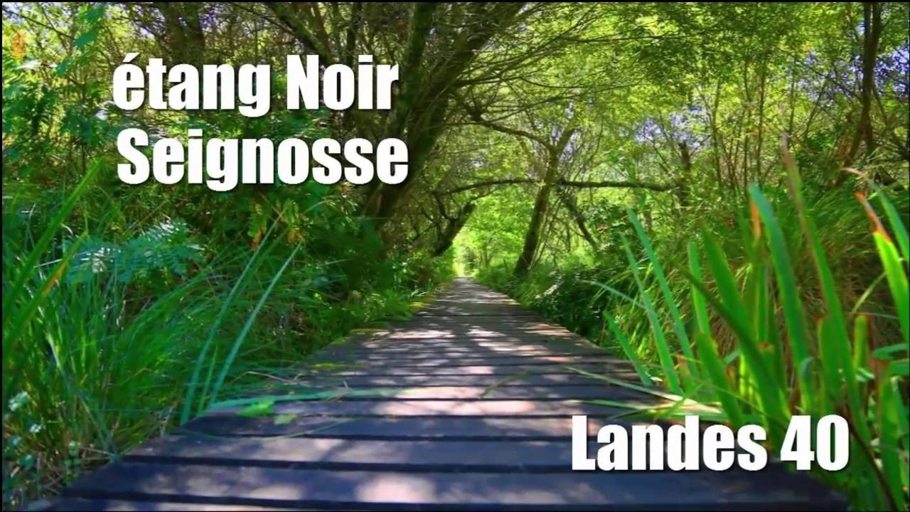 étang noir, Seignosse, Landes (40). - YouTube