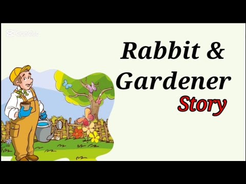 Kind Rabbit | short Moral story | one-minute story | Moral story ...