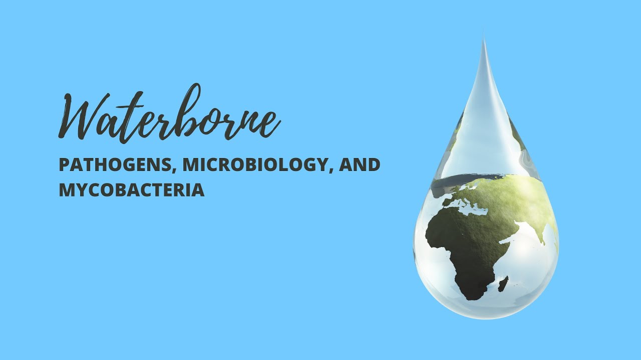 Waterborne Pathogens, Microbiology and Mycobacteria - YouTube