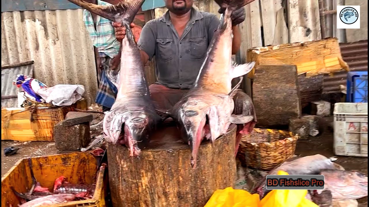 Mastering the Art of Sailfish Filleting Top Cutting Techniques | Fish ...