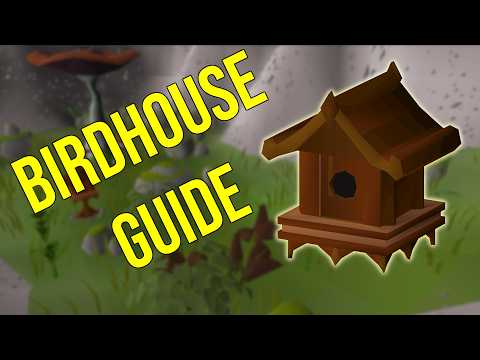 Birdhouse Runs Guide — Low-Effort Hunter XP & GP in OSRS!