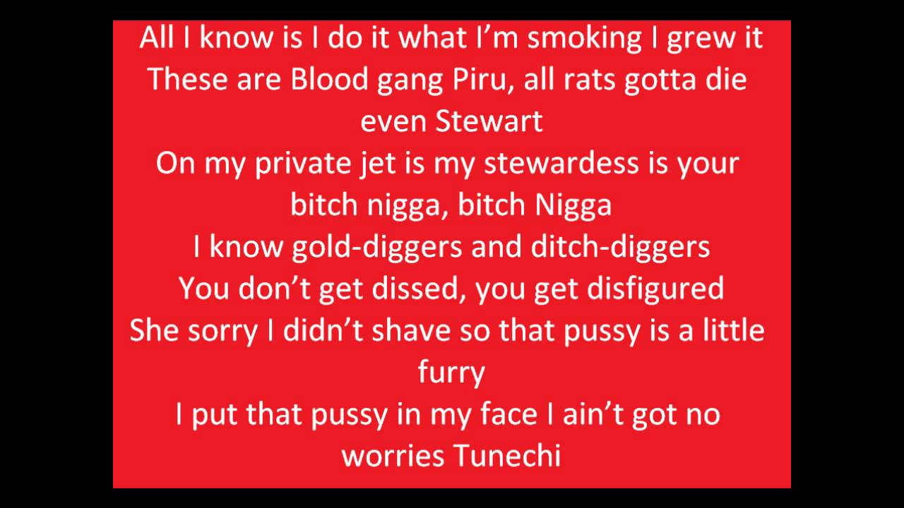 No Worries Lil Wayne Ft. Detail (Lyrics on Screen) - YouTube