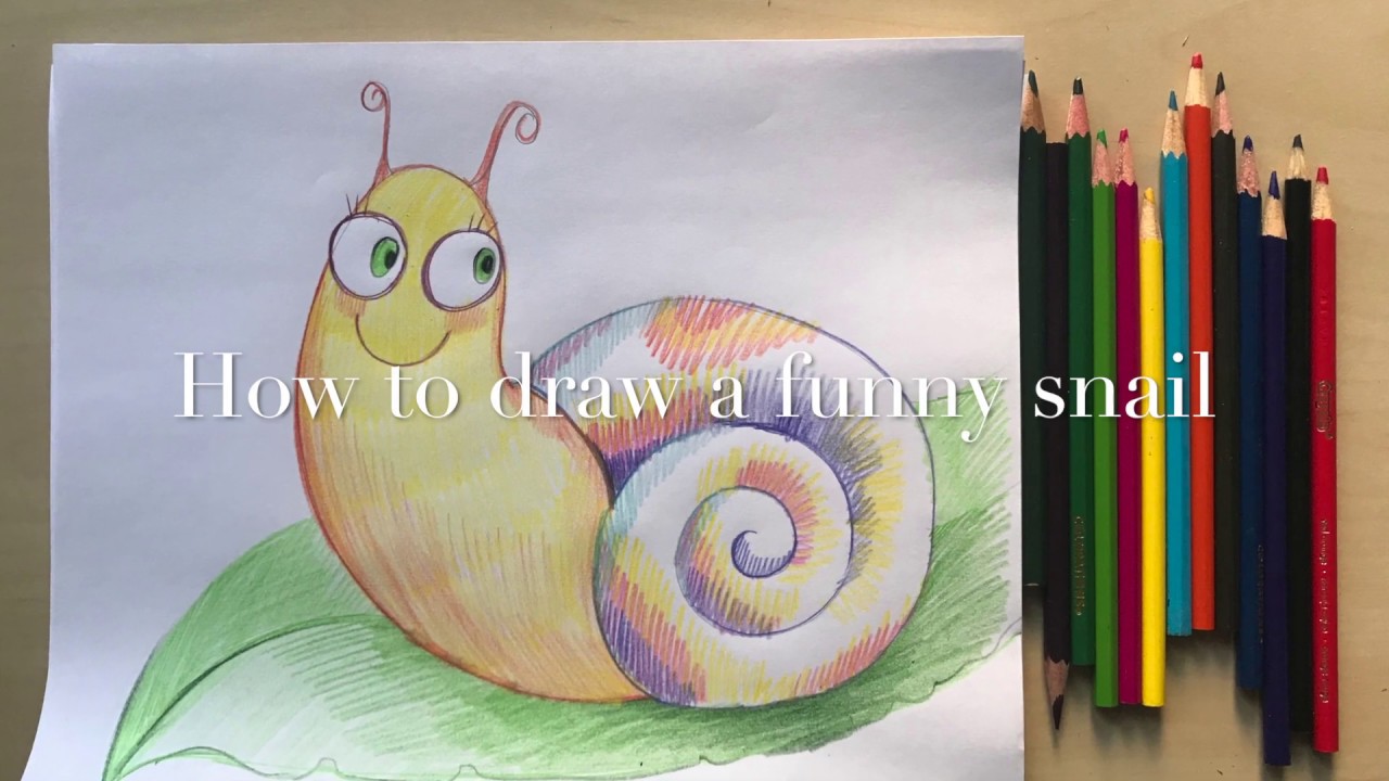How to draw a funny snail. - YouTube