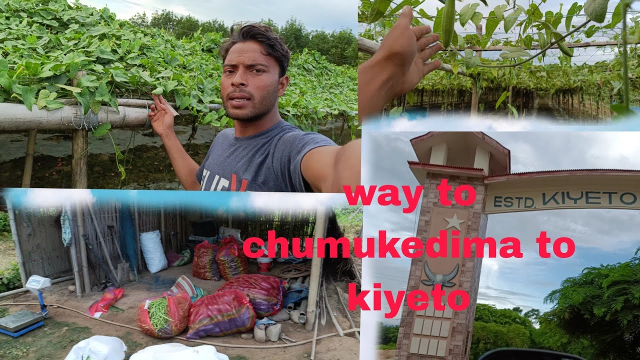 Journey chumukedima to kiyeto village for fresh vegetables field 😍😍 ...