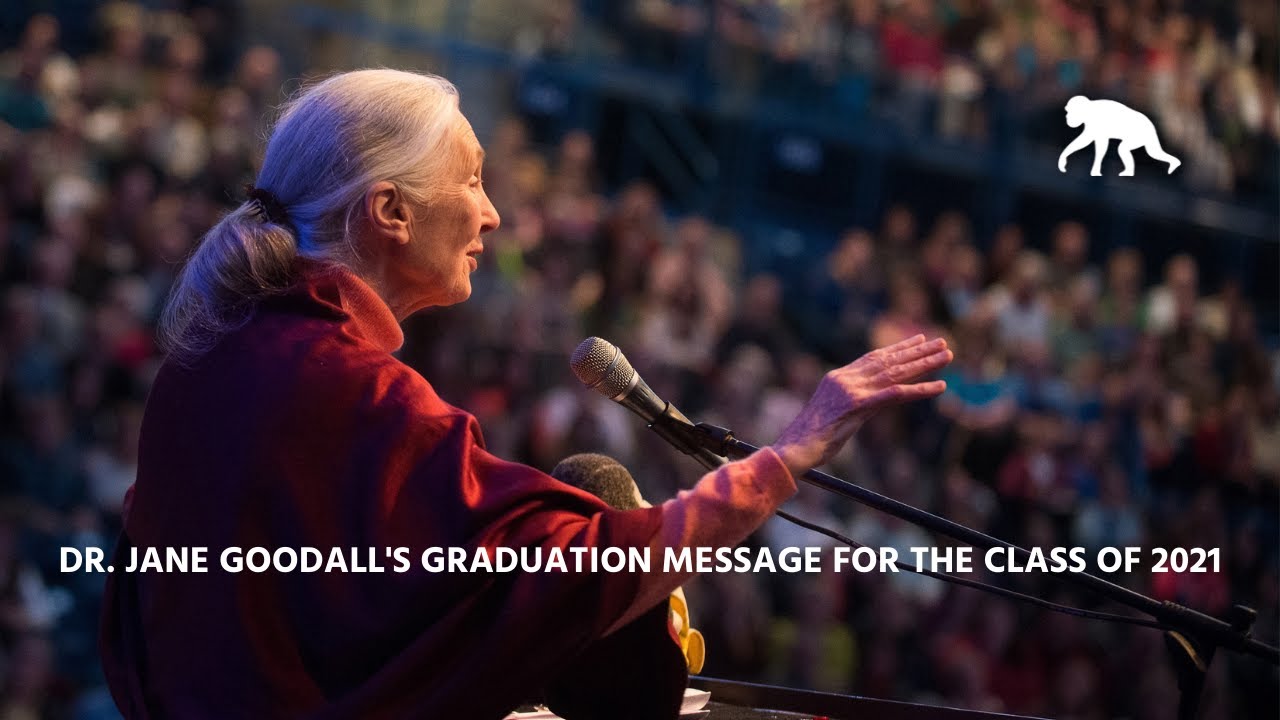 Dr. Jane Goodall's Graduation Message for the class of 2021 - YouTube