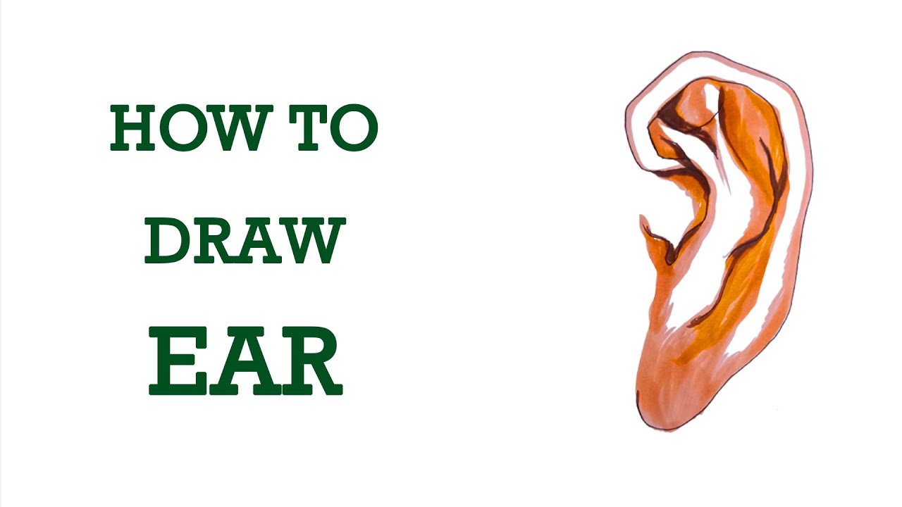 How To Draw Ear | How To Sketch An Ear | Ear Drawing Easy - YouTube