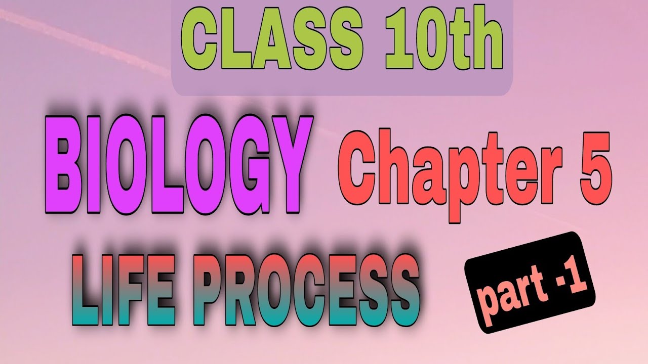 Class 10 | Biology chapter 5 | part 1 | Life process - YouTube