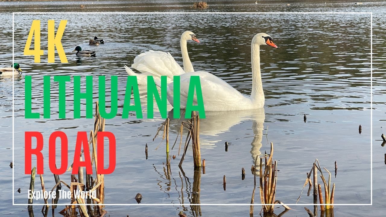 【4K】 Lithuania Driving - through Main Streets of Birštonas - YouTube