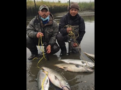 King salmon fishing at Samish river, Washington, Sep 2021. - YouTube