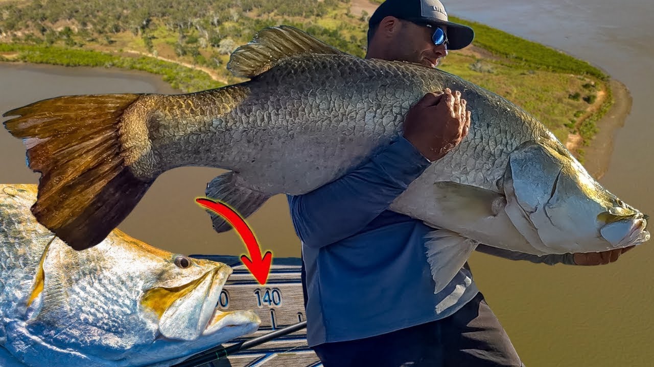 Is This The Worlds BIGGEST Barramundi Caught On Film YouTube