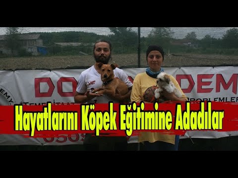 Hayatlarını Köpek Eğitimine Adadılar