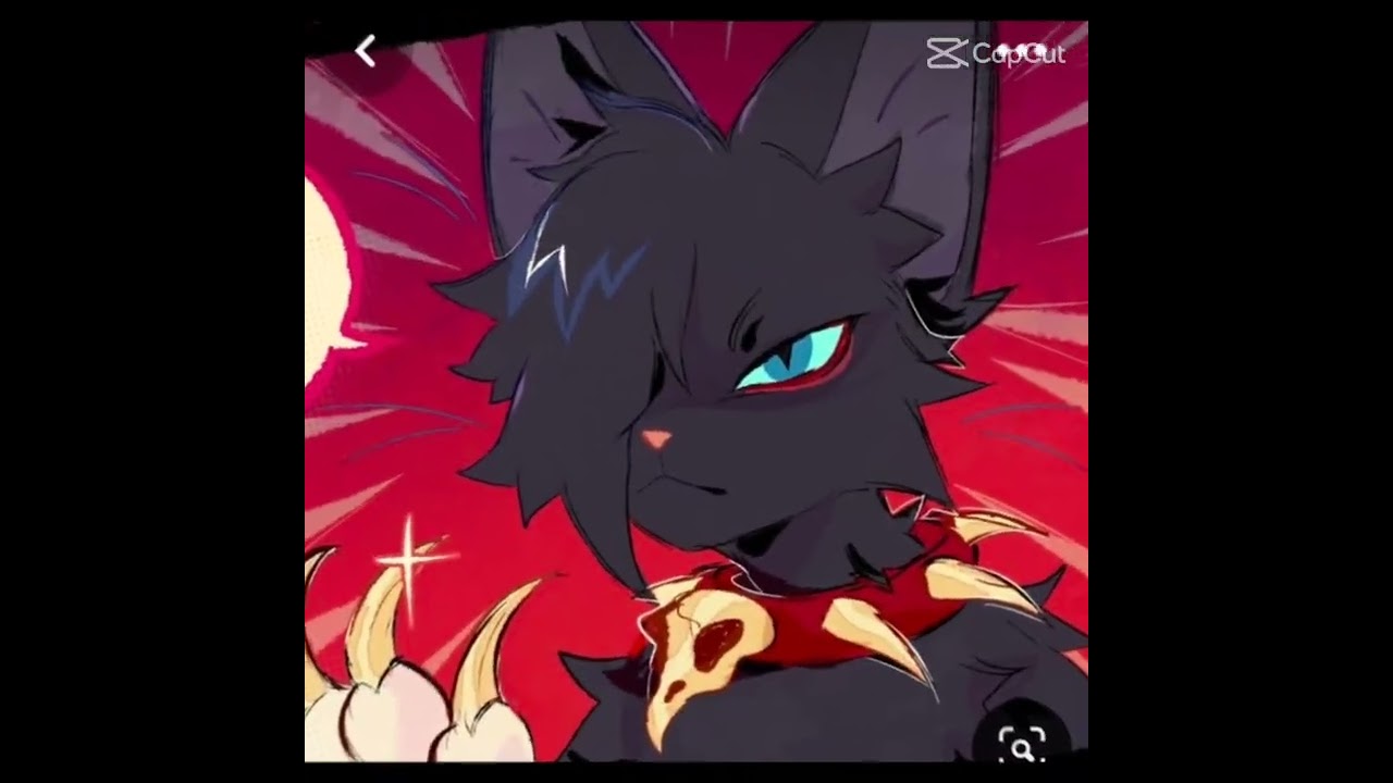 Bicz (@Bicz warrior cat) - YouTube