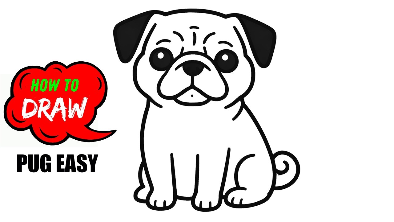 How to Draw a Pug: Step-by-Step (So Easy It’s Realistic!) - YouTube