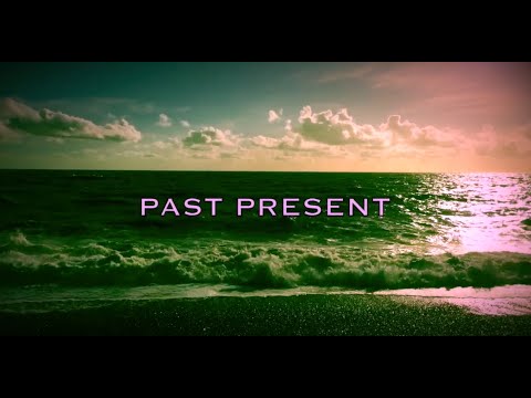 Fiona Brice - Past Present