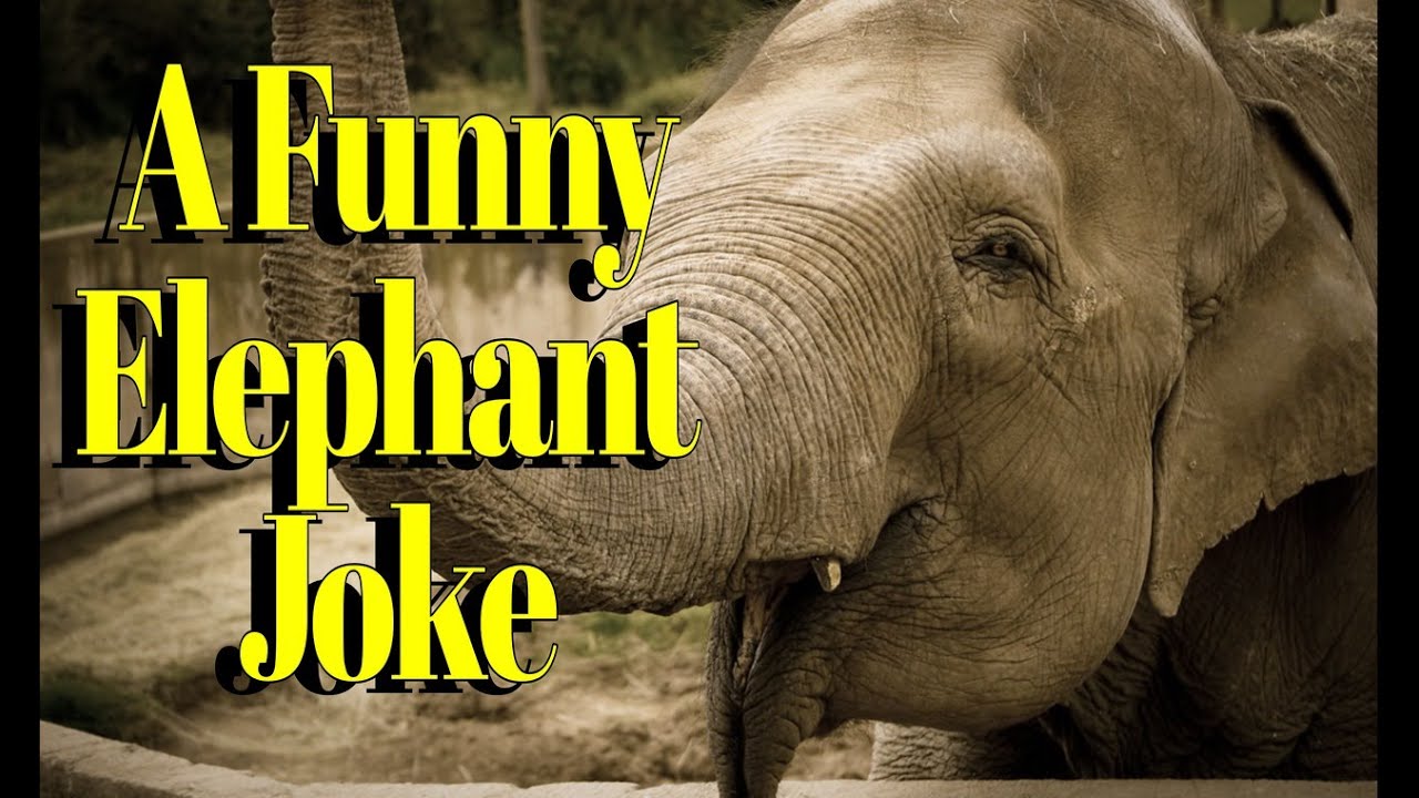 A Funny Elephant Joke - YouTube