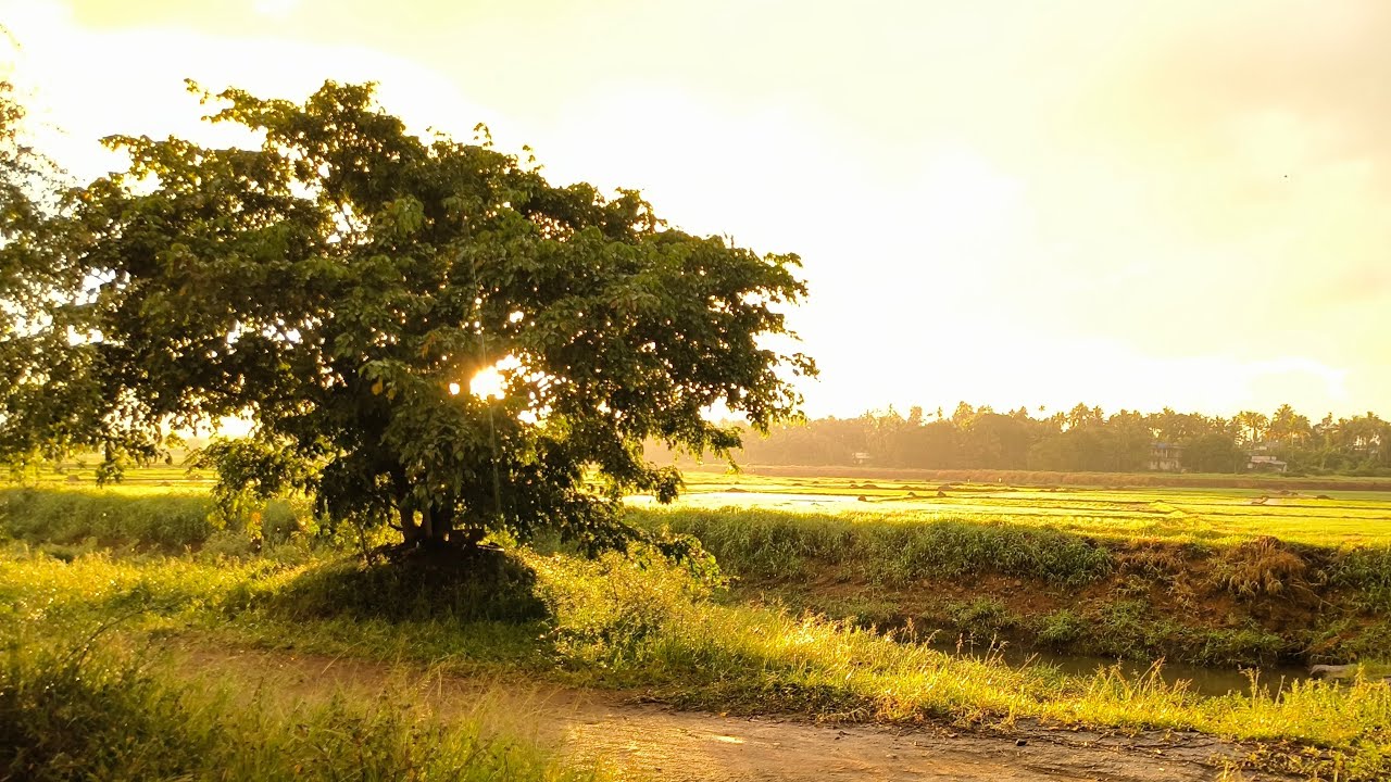 Onaal fun videos is live hello guys - YouTube