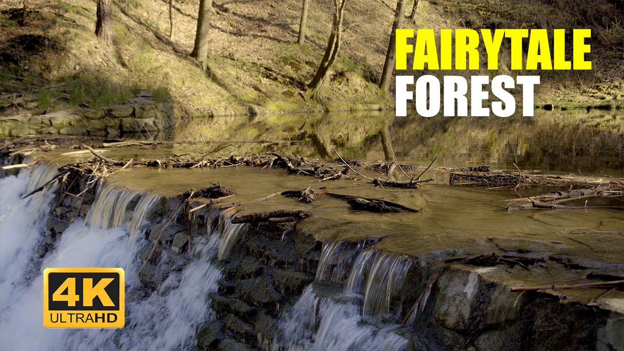 Ancient Forest Waterfall | Recharge Your Energy | Perfect for Study ...