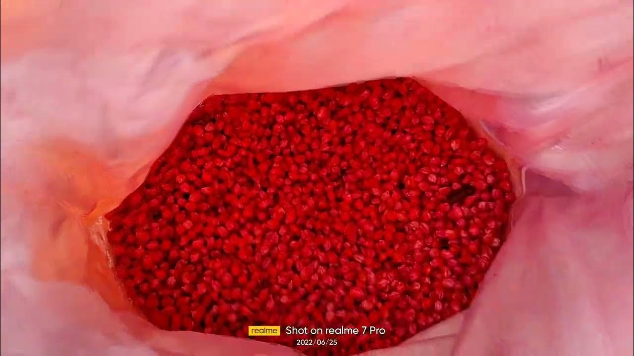 Mus ncig saib Hmoob phab kheb cog pob kws - YouTube