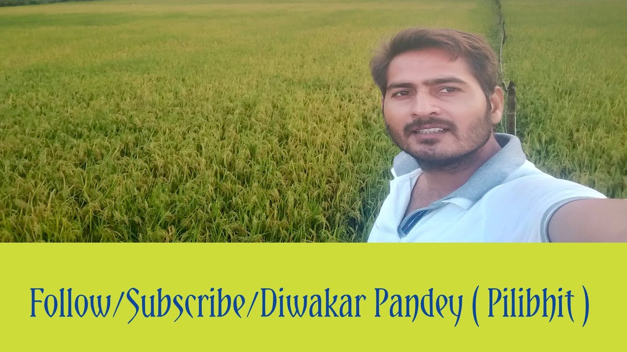 Live - Diwakar Pandey #viral #indianarmy - YouTube