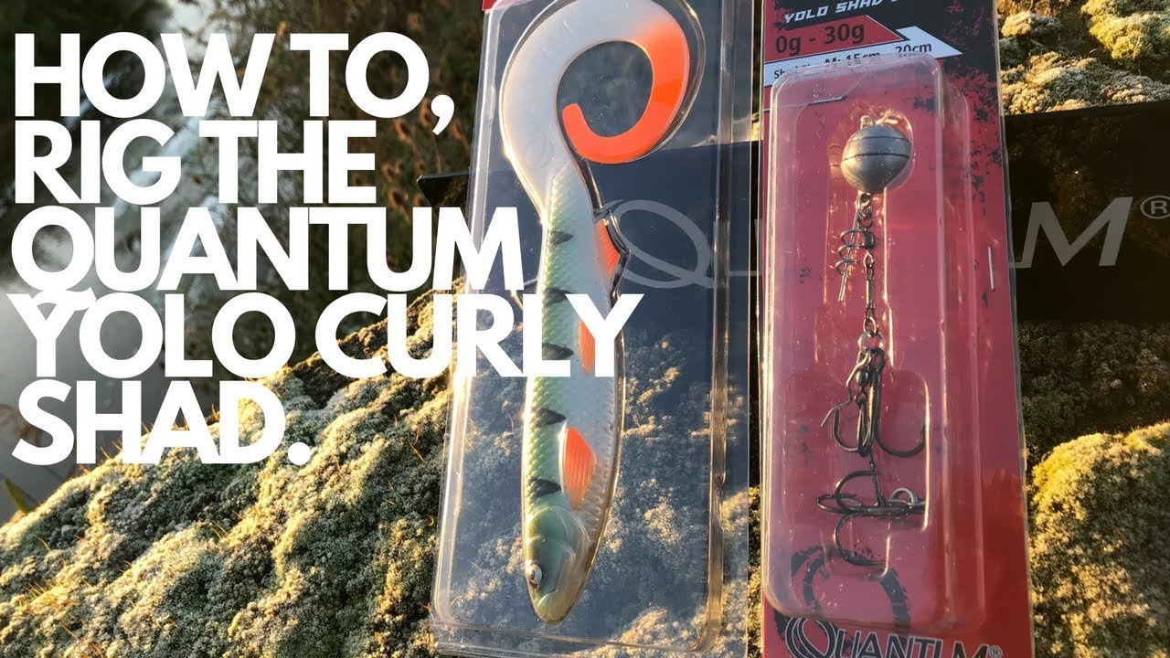 HOW TO RIG THE QUANTUM YOLO CURLY SHAD - YouTube
