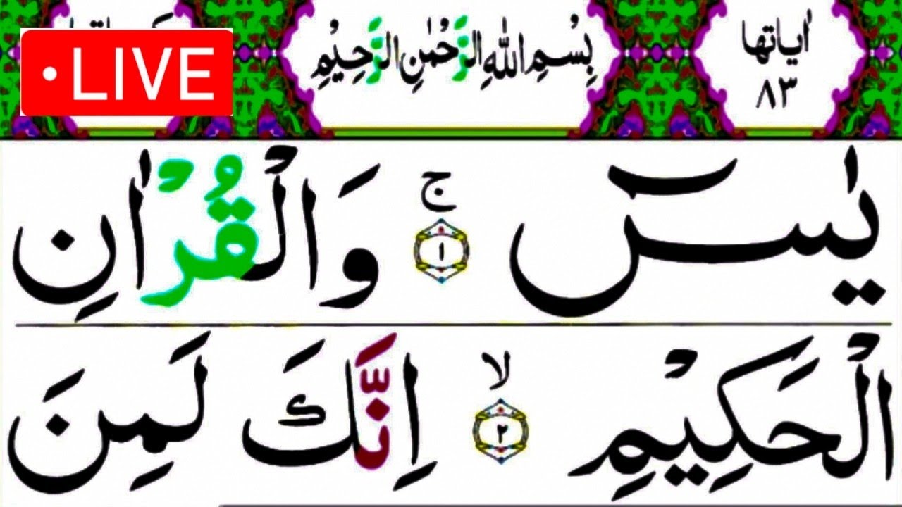 Surah yaseen (yasin) arabic hd || Surah yaseen arabic text ||سورة یس 36 ...