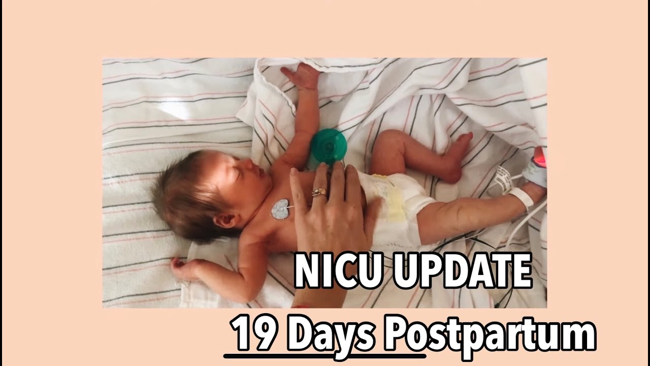 19 days postpartum/NICU update (+ tips for NICU parents) - YouTube